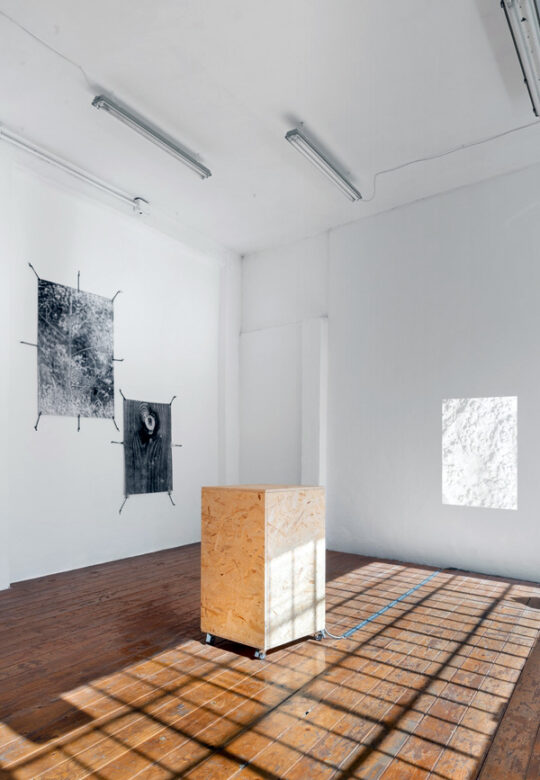 * alexanderbinder.org